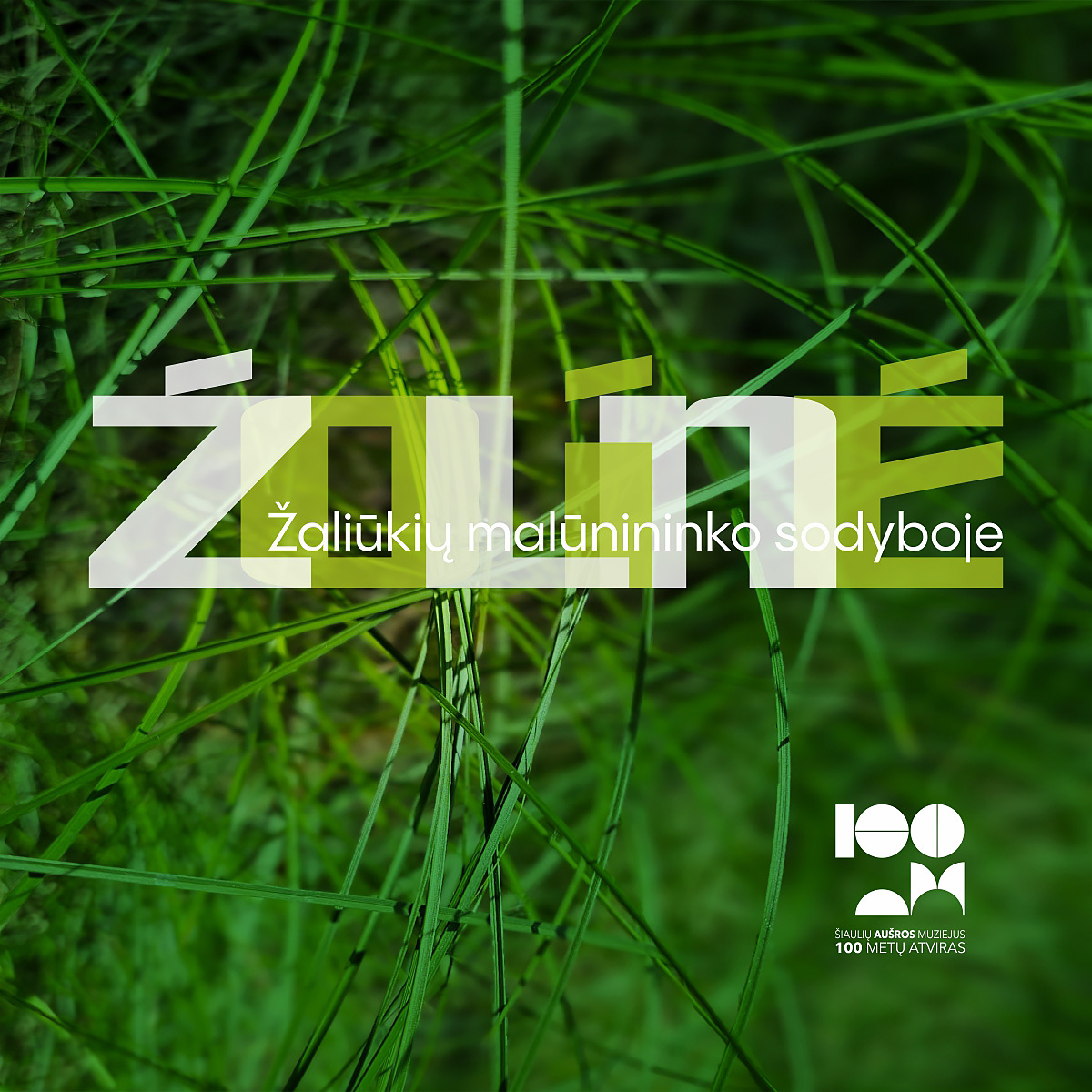 ŠIAULIAI - Žolinė po malūno sparnais – nuo tradicinių apeigų iki ...