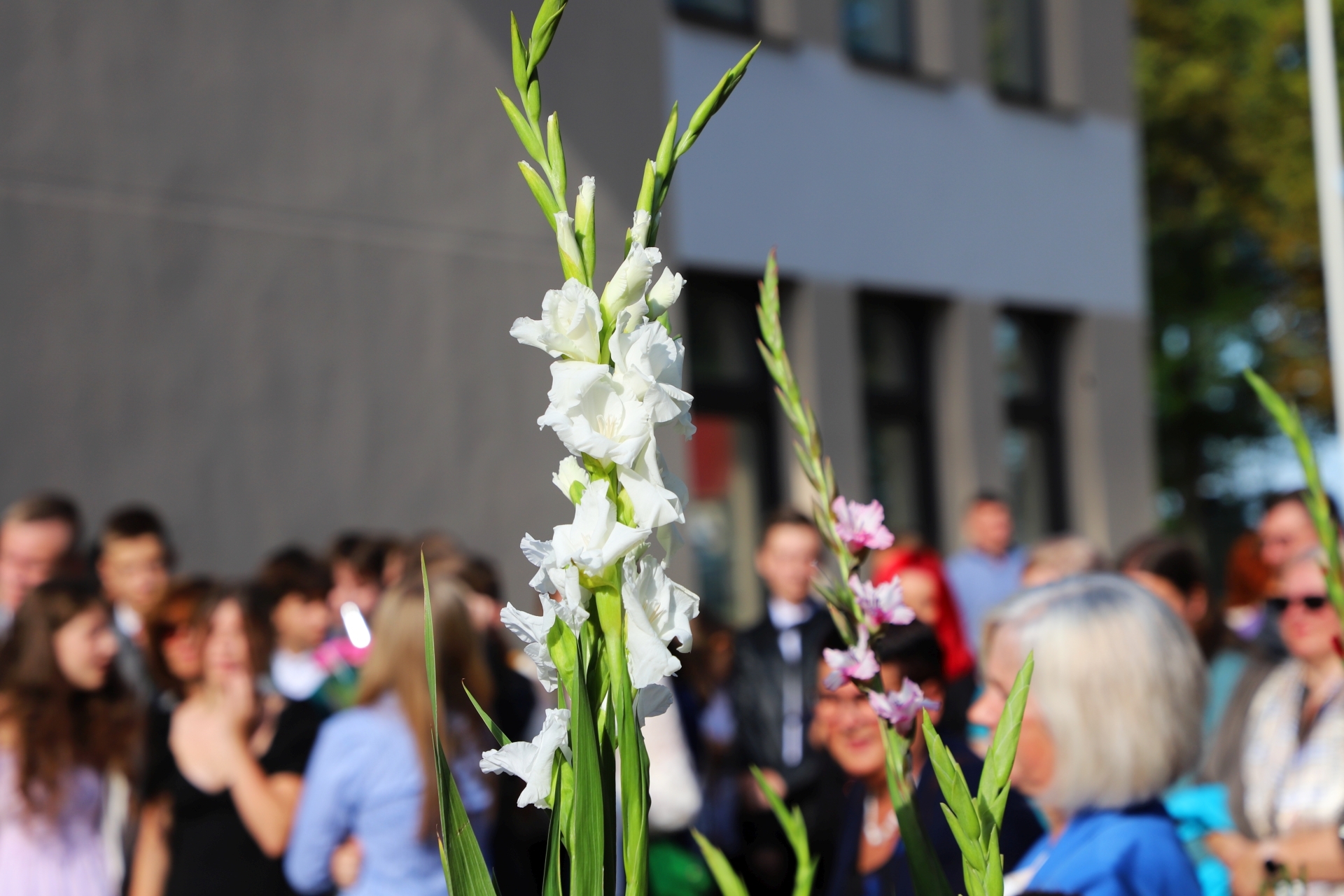 ŠIAULIAI - Pirmasis skambutis sukvietė į klases Šiaulių miesto moksleivius