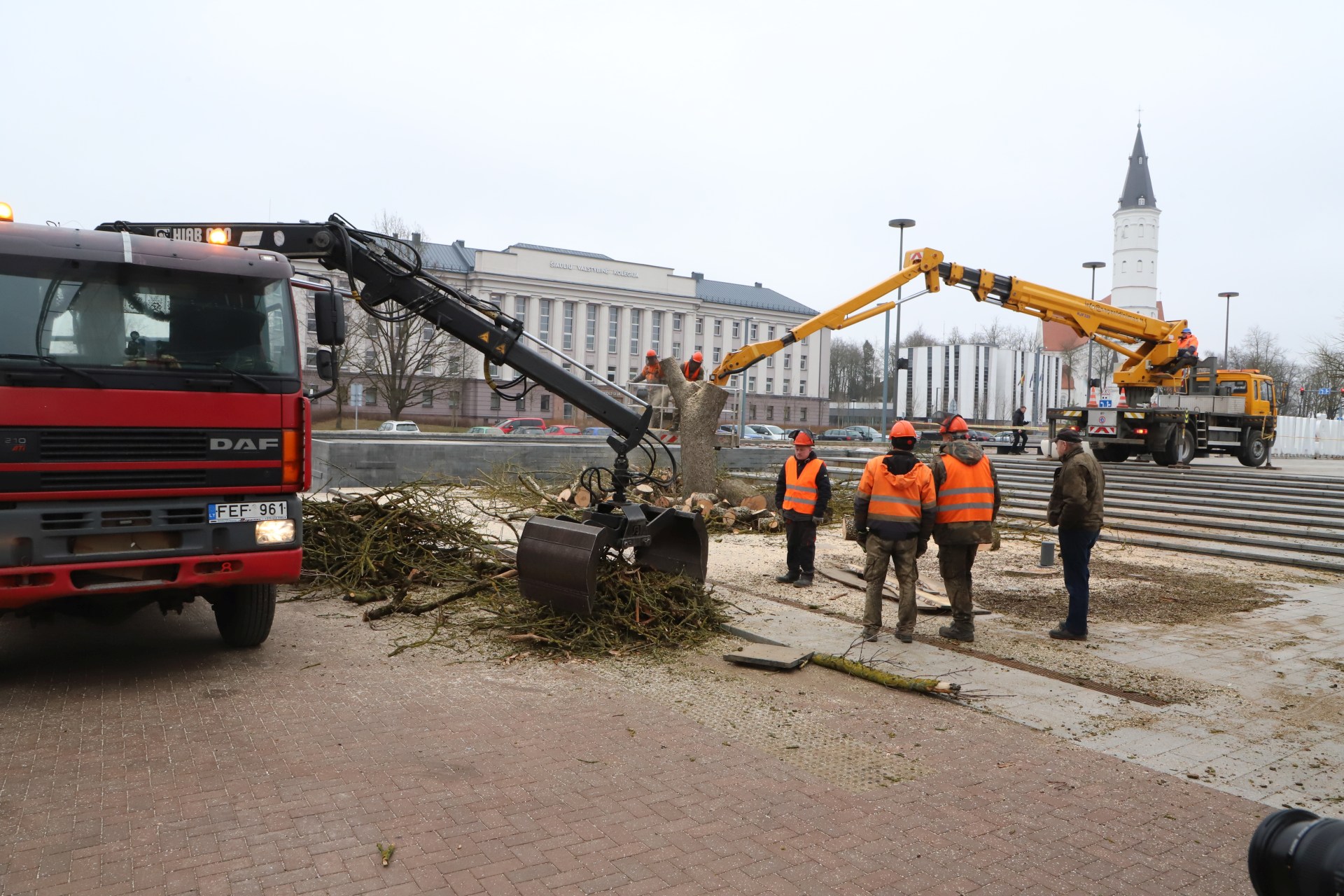 ŠIAULIAI - Šalinami neišgyvenę medžiai Prisikėlimo aikštėje